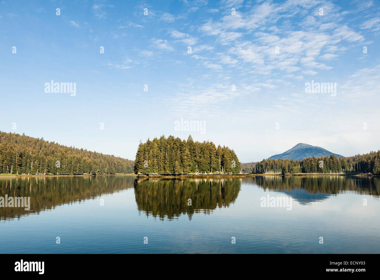 Reflections of spruce trees on island in Afognak Bay on Afognak Island ...