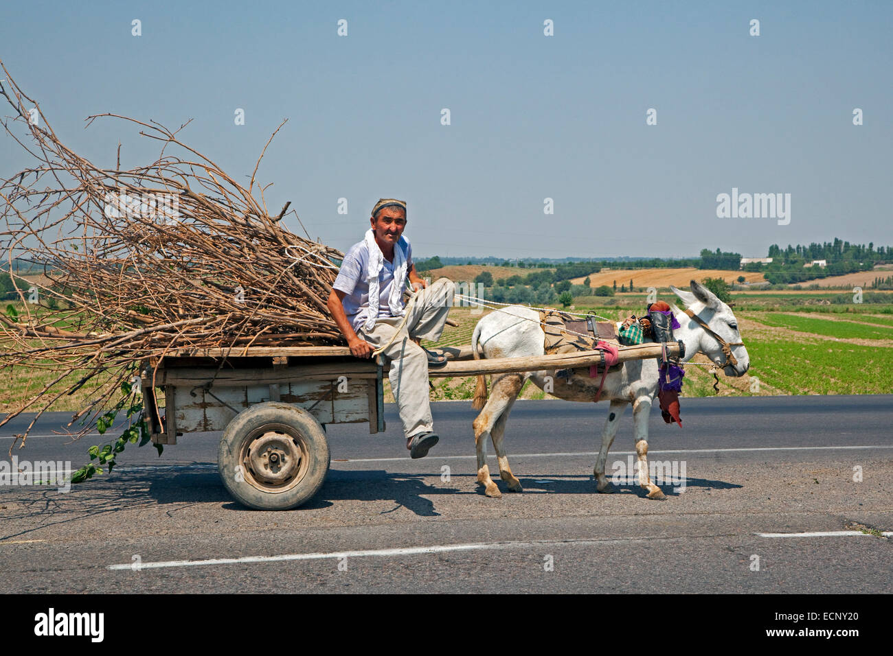 Animal donkey load hi-res stock photography and images - Alamy