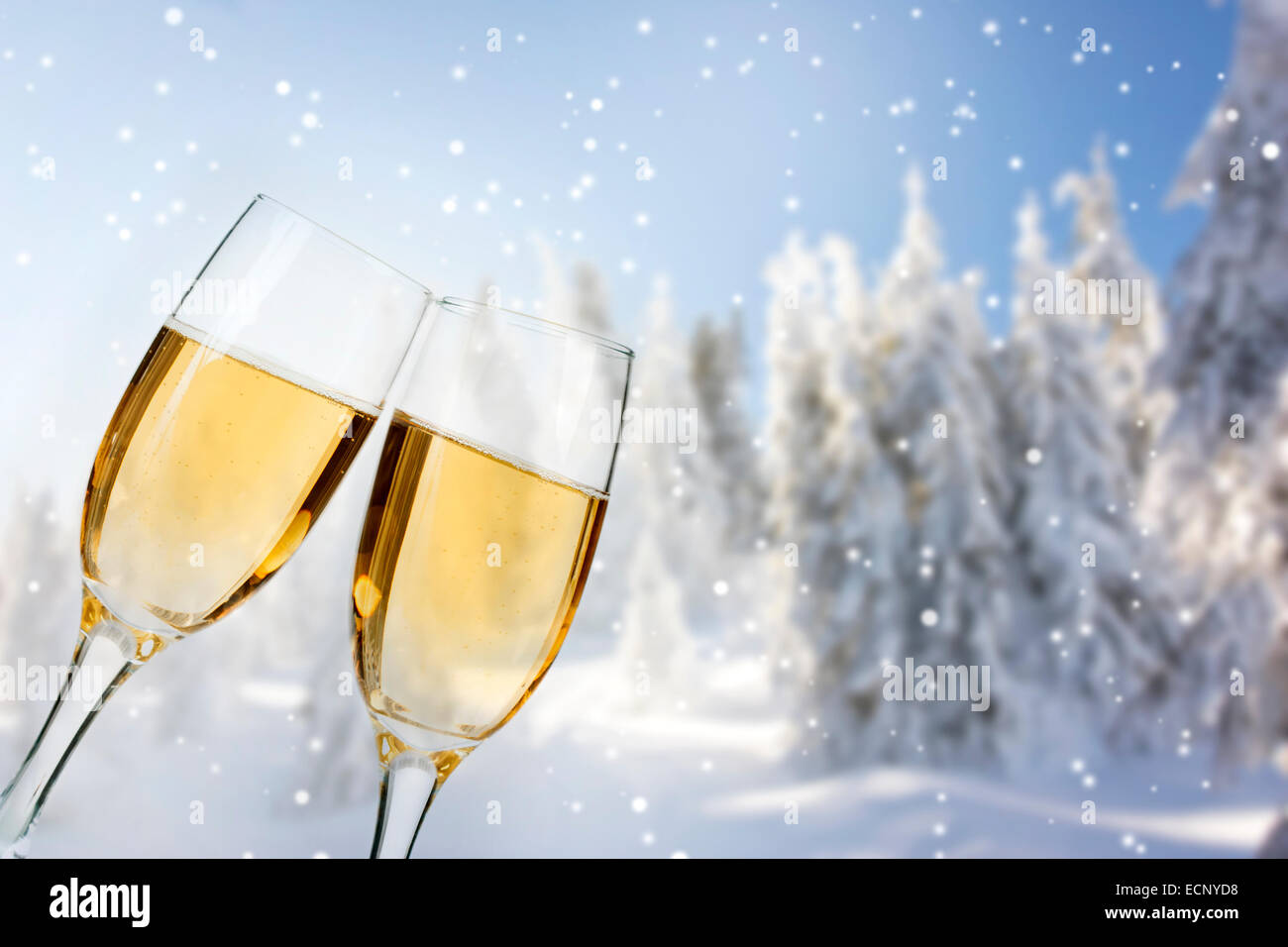 Glasses with champagne , snow cowered pine trees in the background ...