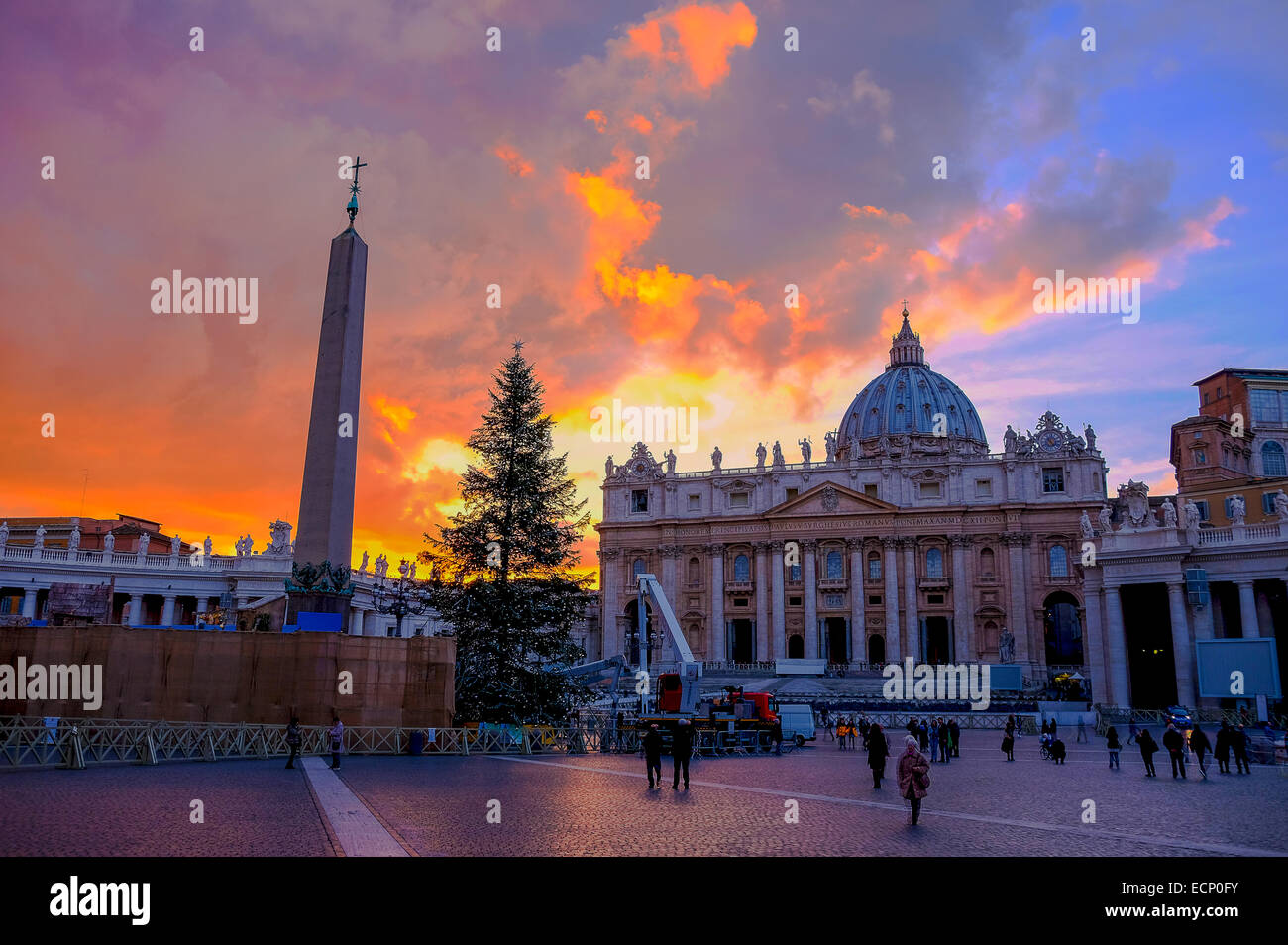 Vatican christmas tree hi-res stock photography and images - Alamy