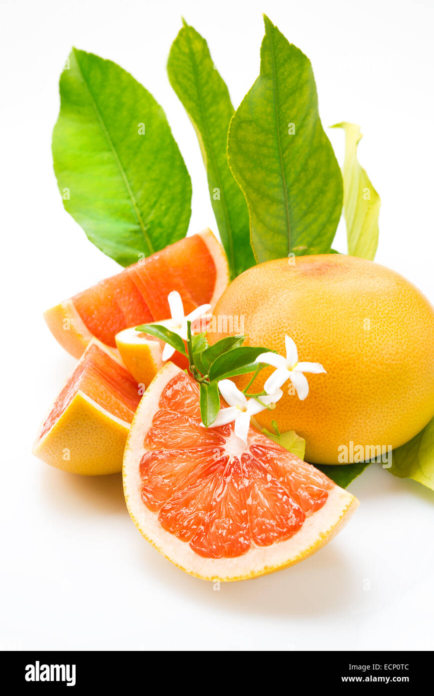 Orange and grapefruit sliced on white background Stock Photo - Alamy
