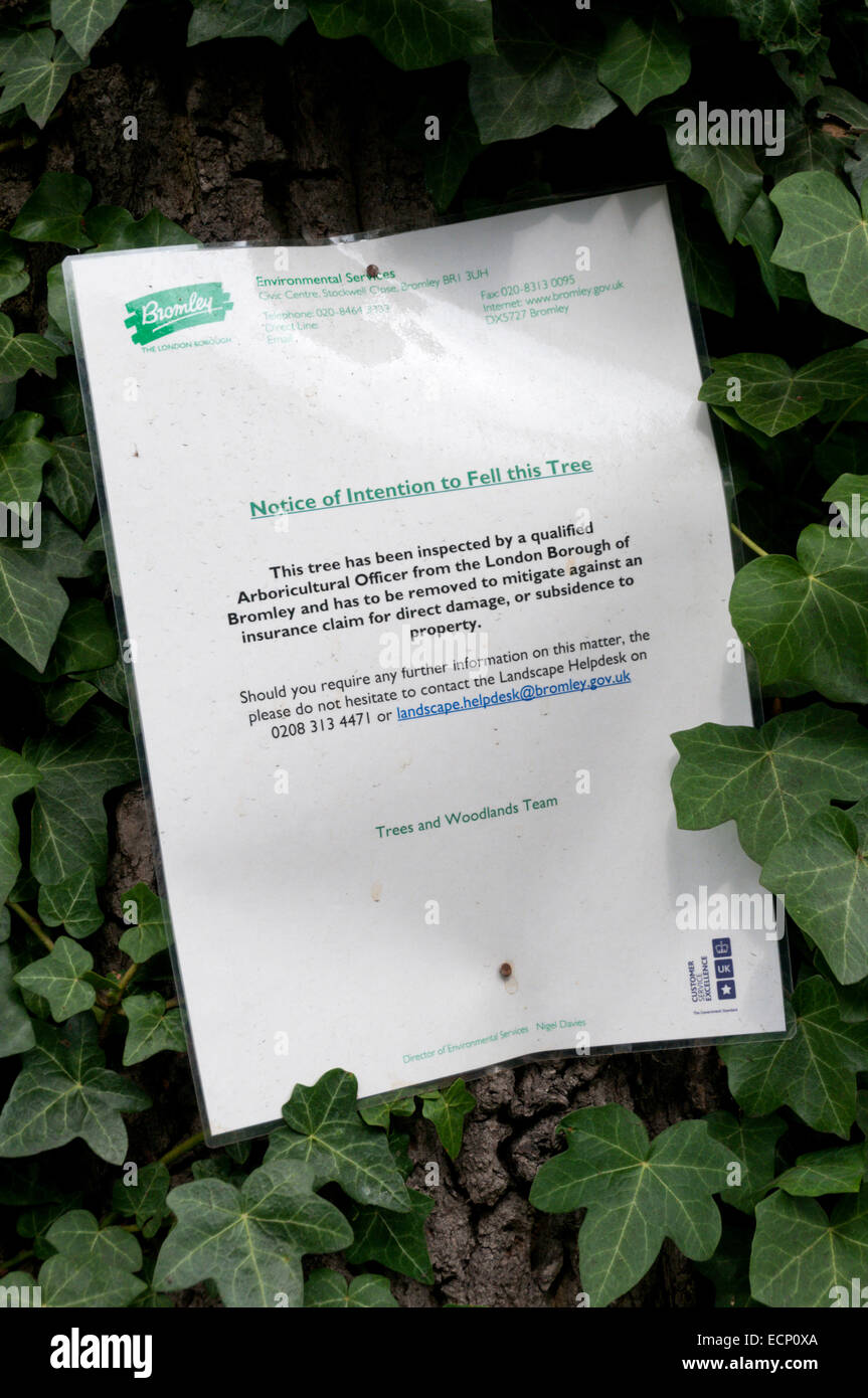 Notice of intention to fell this tree hi-res stock photography and ...