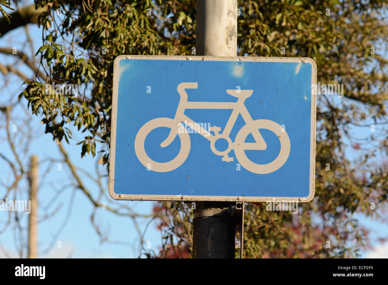 Blue cycle lane sign and symbol Stock Photo - Alamy