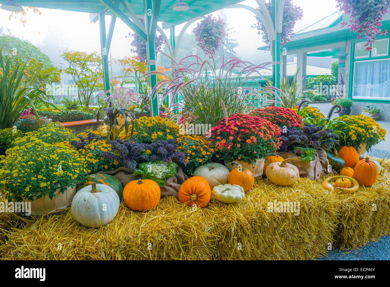 Fall harvest display, Butchart Gardens, British Columbia, Canada Stock ...