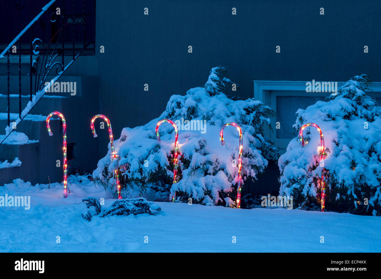 Candy canes display hi-res stock photography and images - Alamy