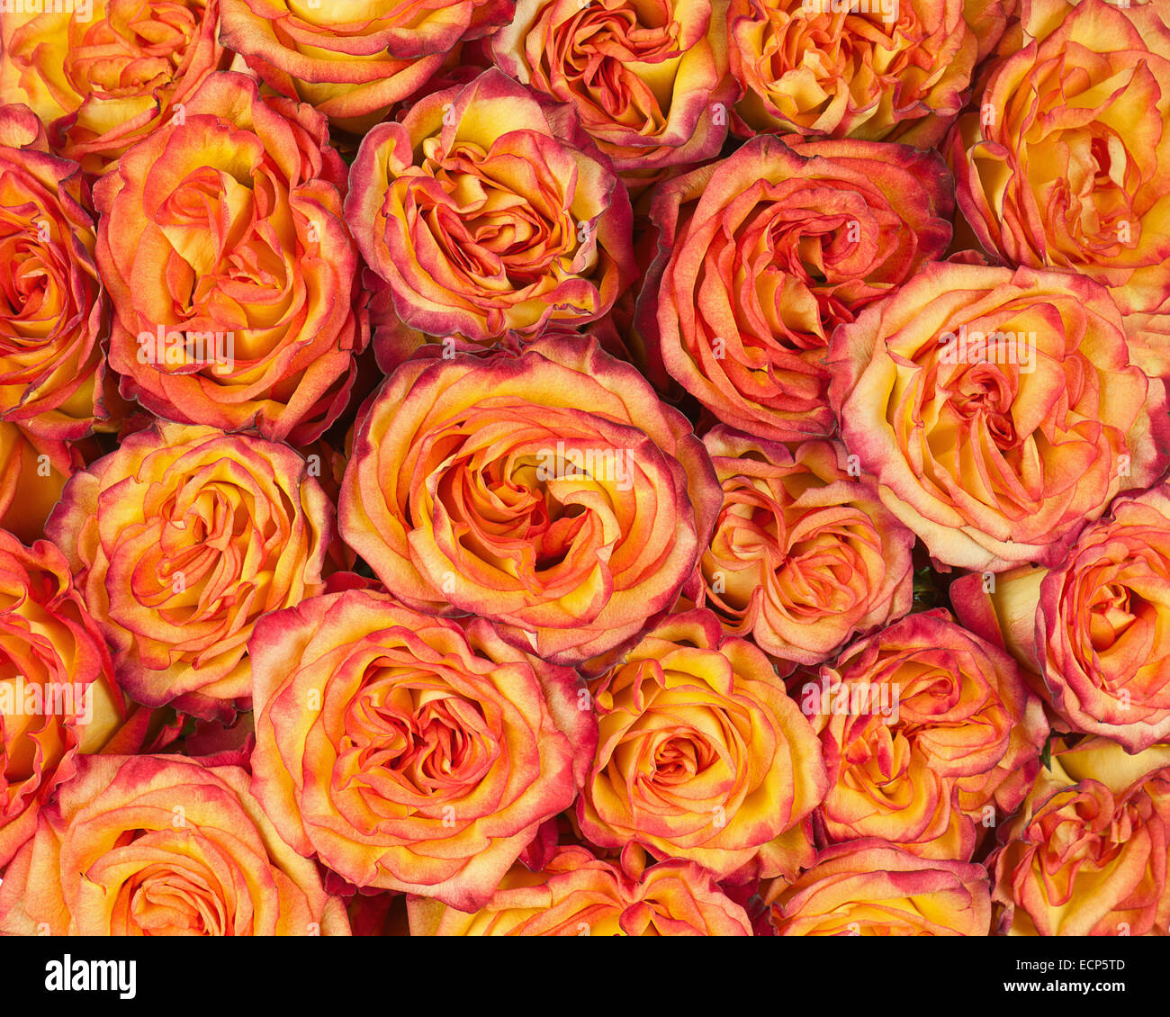 Colorful flower bouquet from yellow red roses for use as background ...