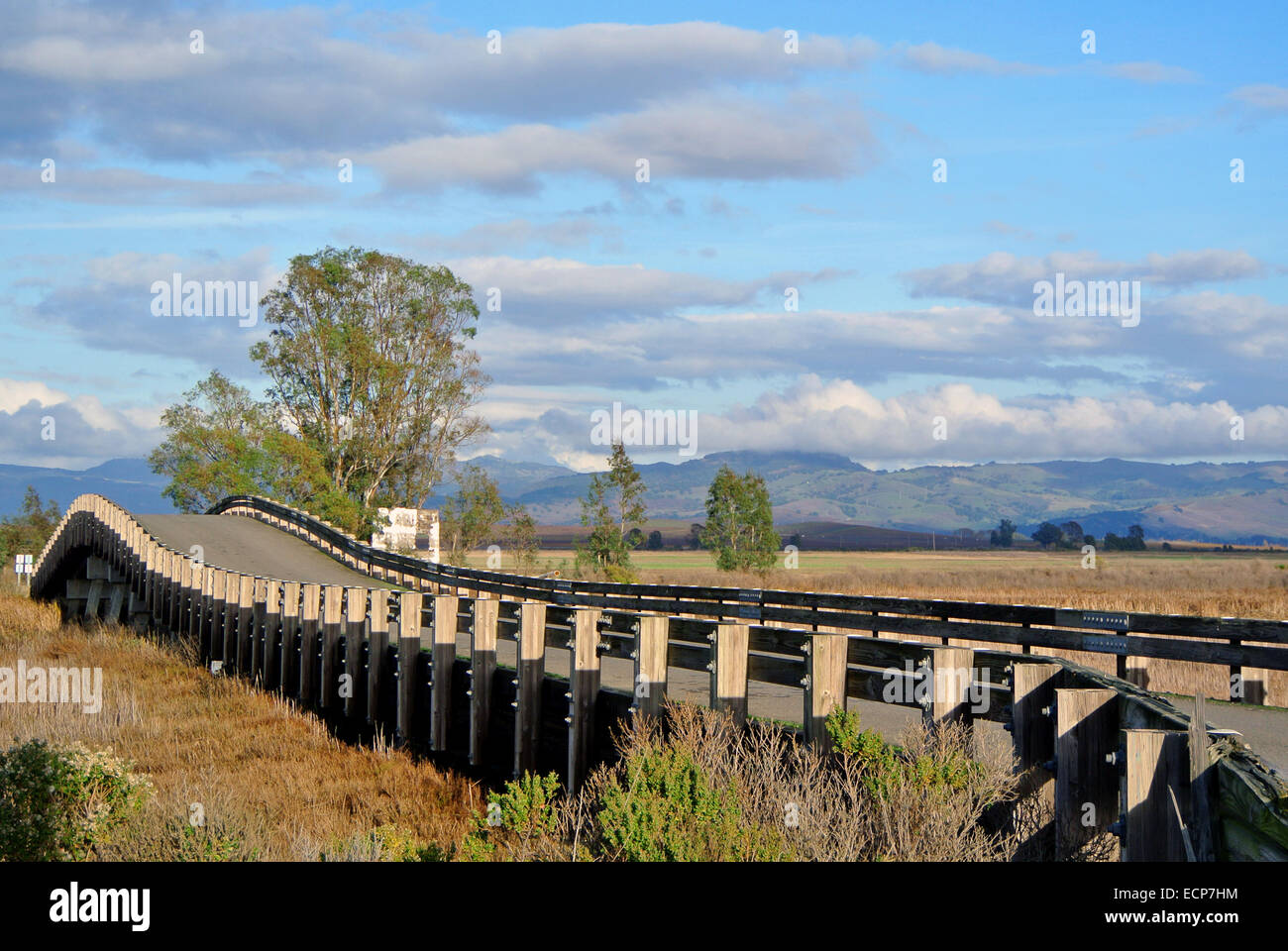 view of country road and bridge in the wine country in Sonoma County ...