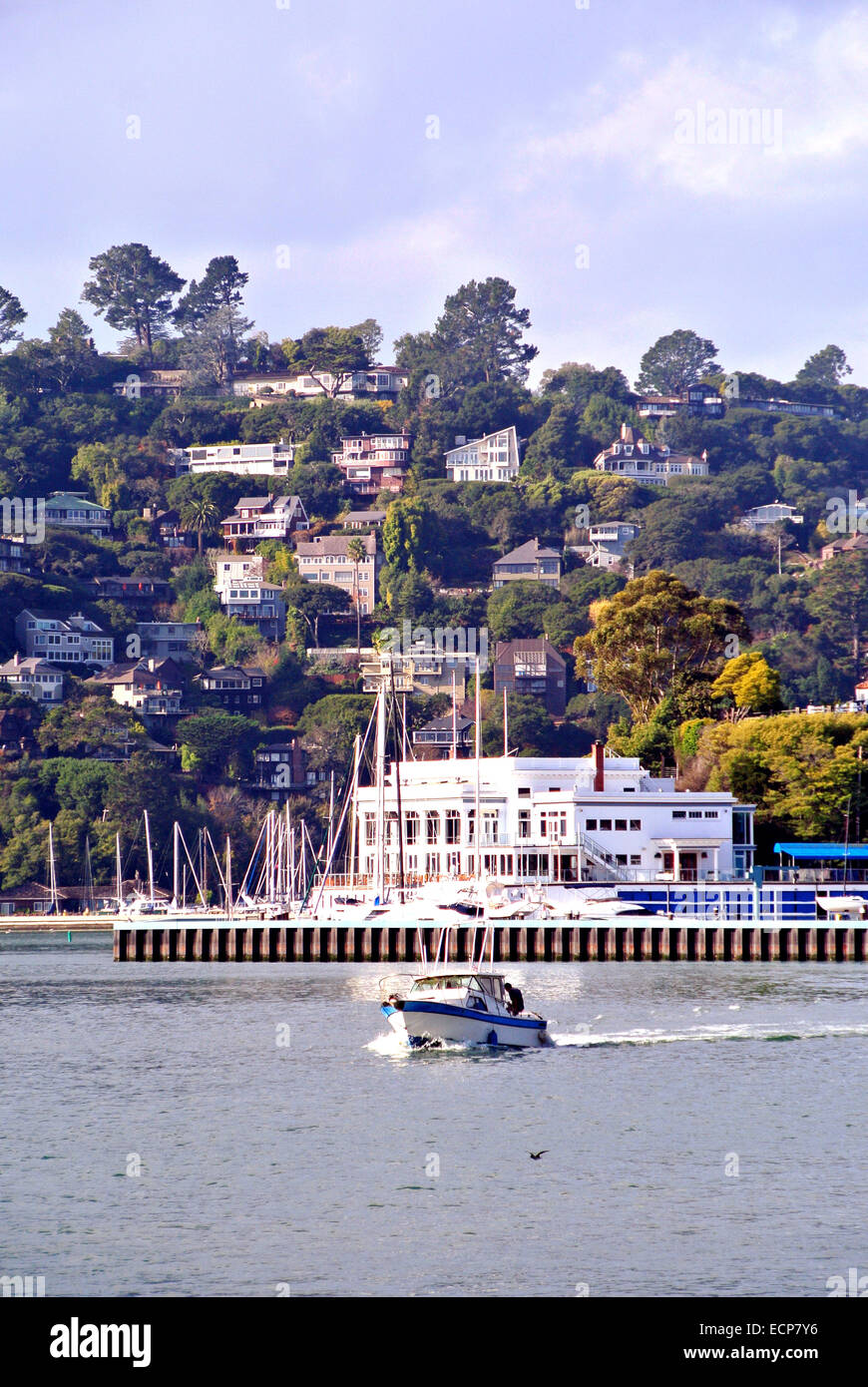 Tiburon island hi-res stock photography and images - Alamy