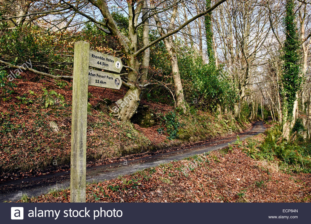 Country Signpost Uk High Resolution Stock Photography and Images - Alamy