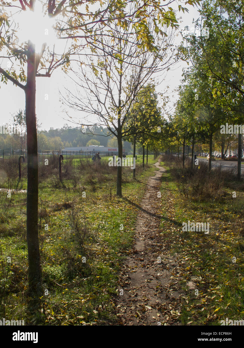 Autumn Trees Path Berlin Germany Stock Photo - Alamy