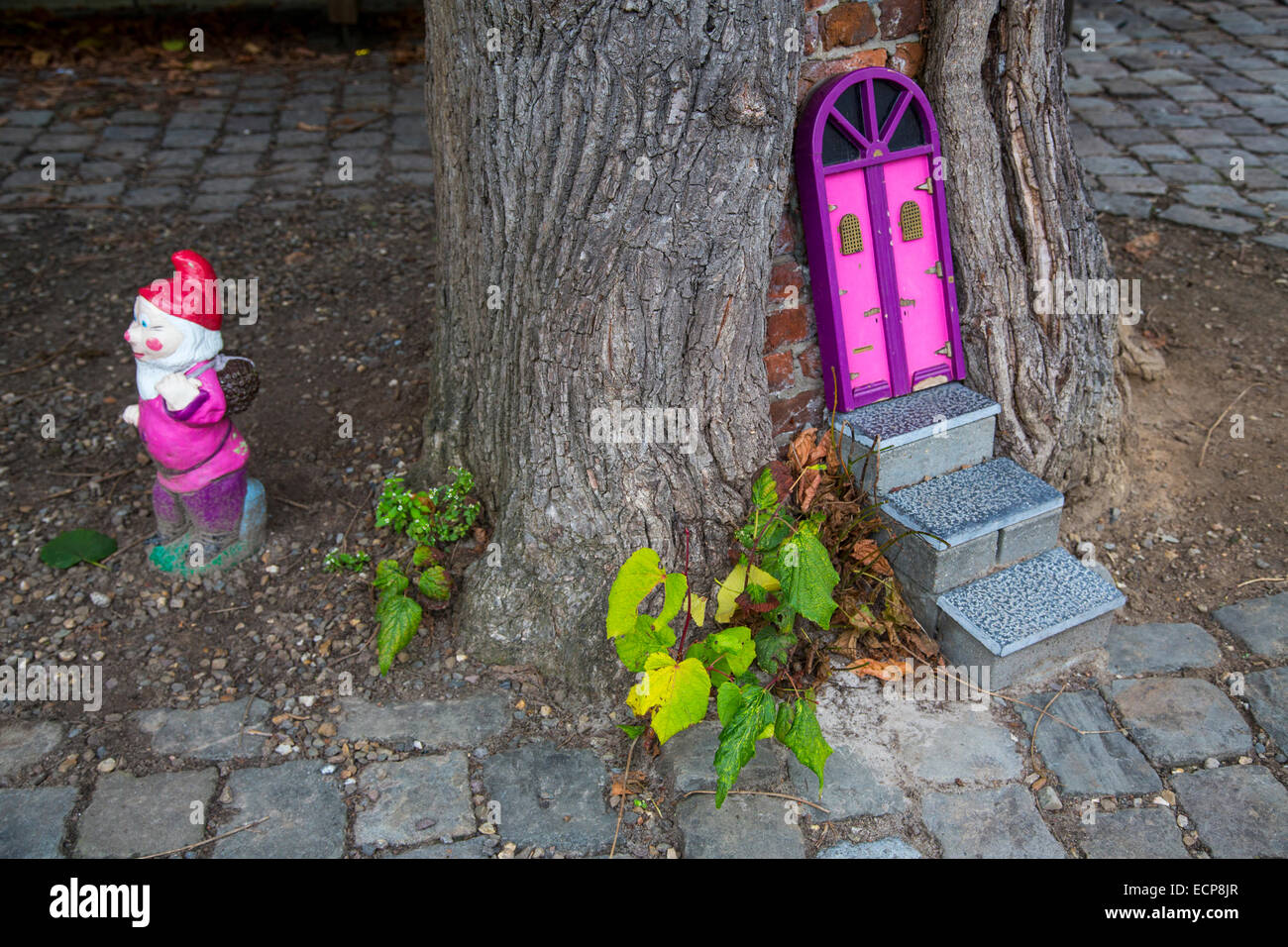 Dwarf tree in front of house hi-res stock photography and images - Alamy