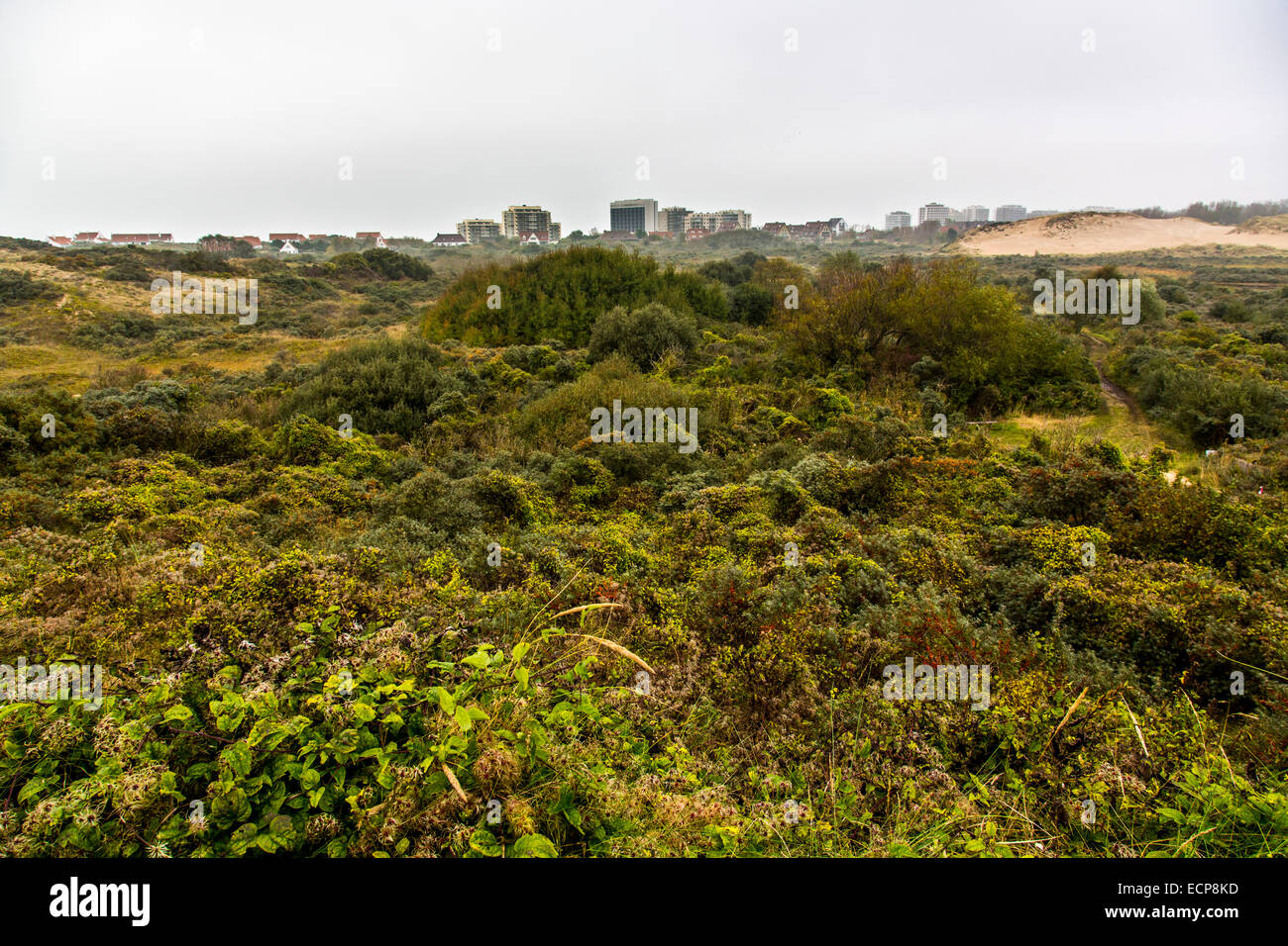 Belgian nature hi-res stock photography and images - Alamy