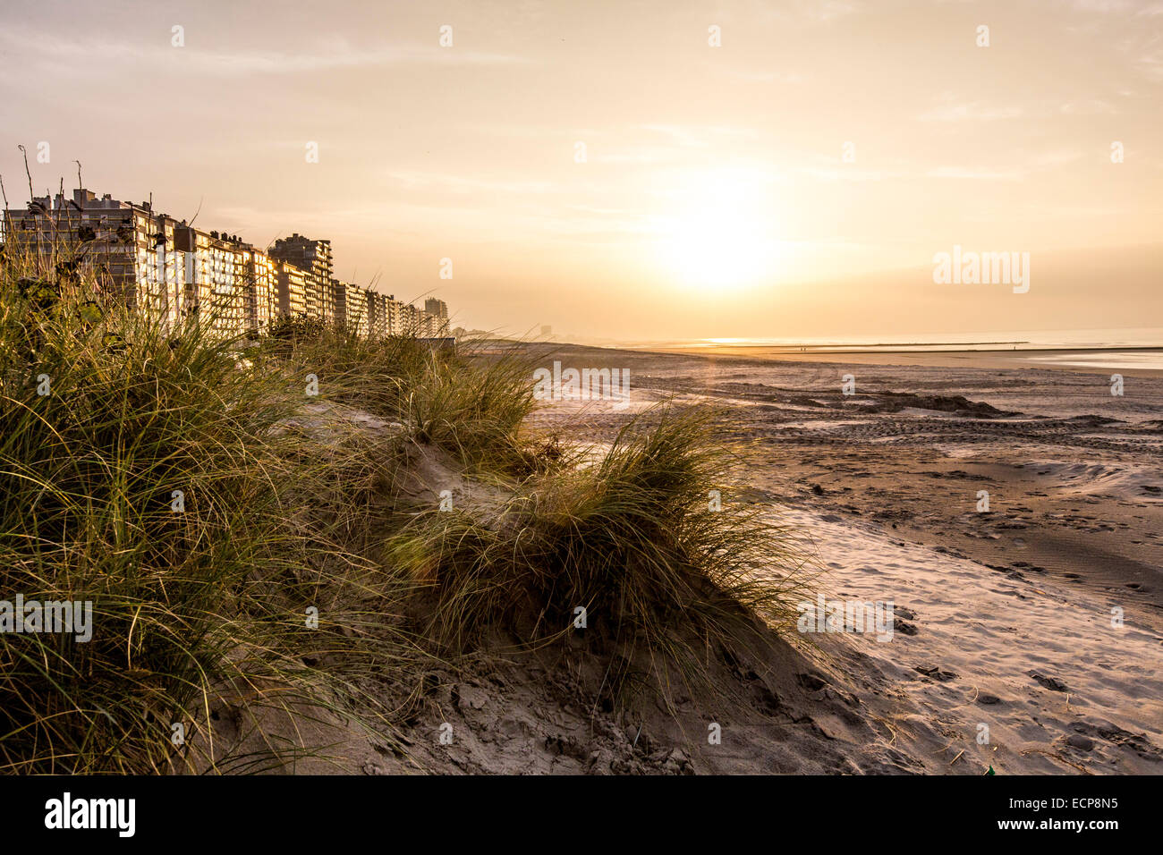 Skyscrapers, sea-side promenade, in the coastal town of Nieuwpoort ...