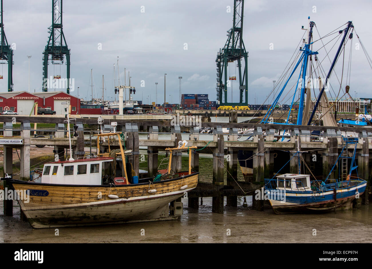 Belgian North Sea coast, fishing harbor at low tide, Zeebrugge Stock ...