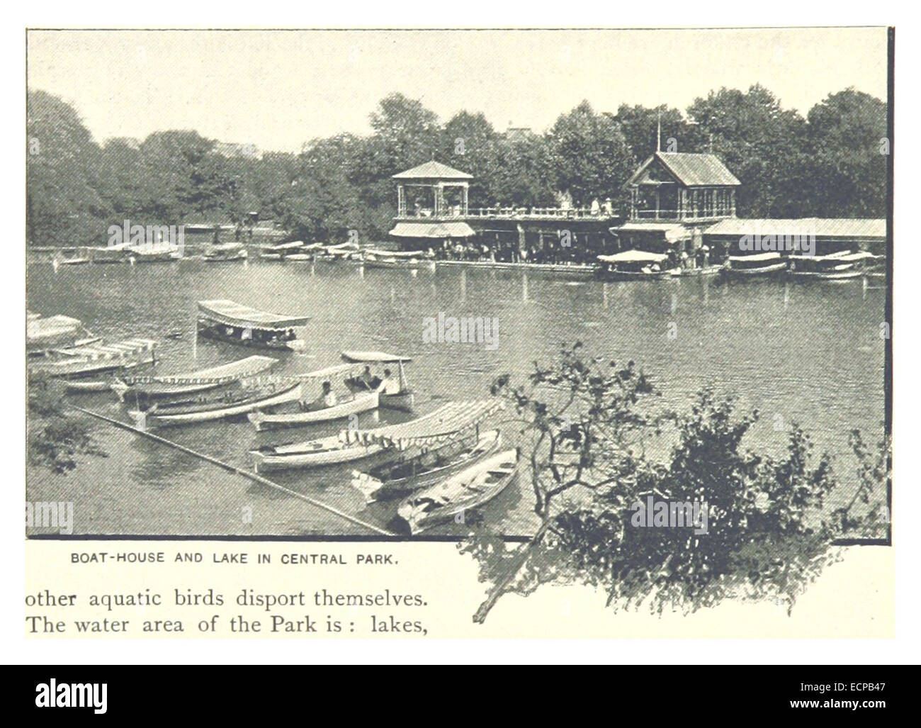 Park boating lake Cut Out Stock Images & Pictures - Alamy