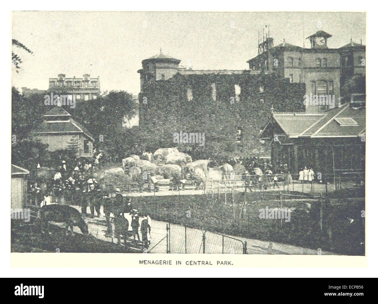 Central park map Cut Out Stock Images & Pictures - Alamy