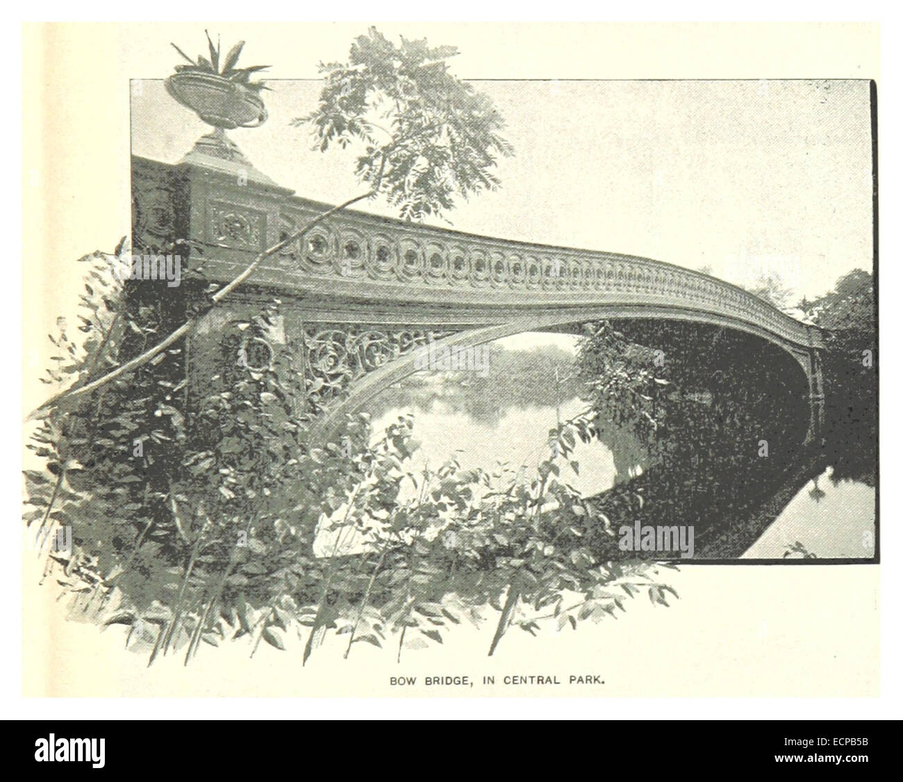 Bridges in new york Cut Out Stock Images & Pictures - Alamy