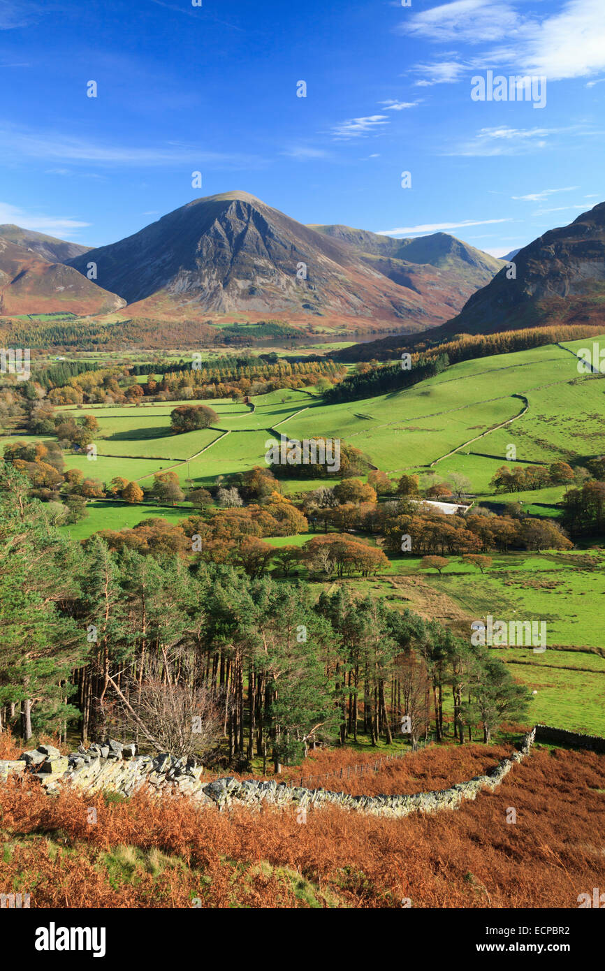 Grassmoor hi-res stock photography and images - Alamy