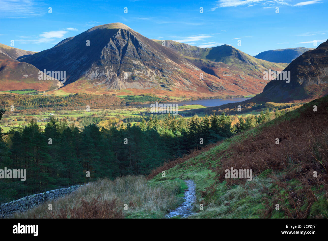 Grassmoor hi-res stock photography and images - Alamy