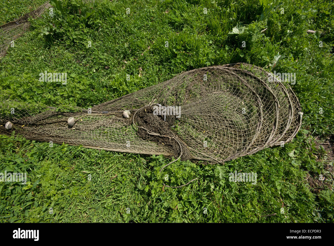 Patrimonio della pesca hi-res stock photography and images - Alamy