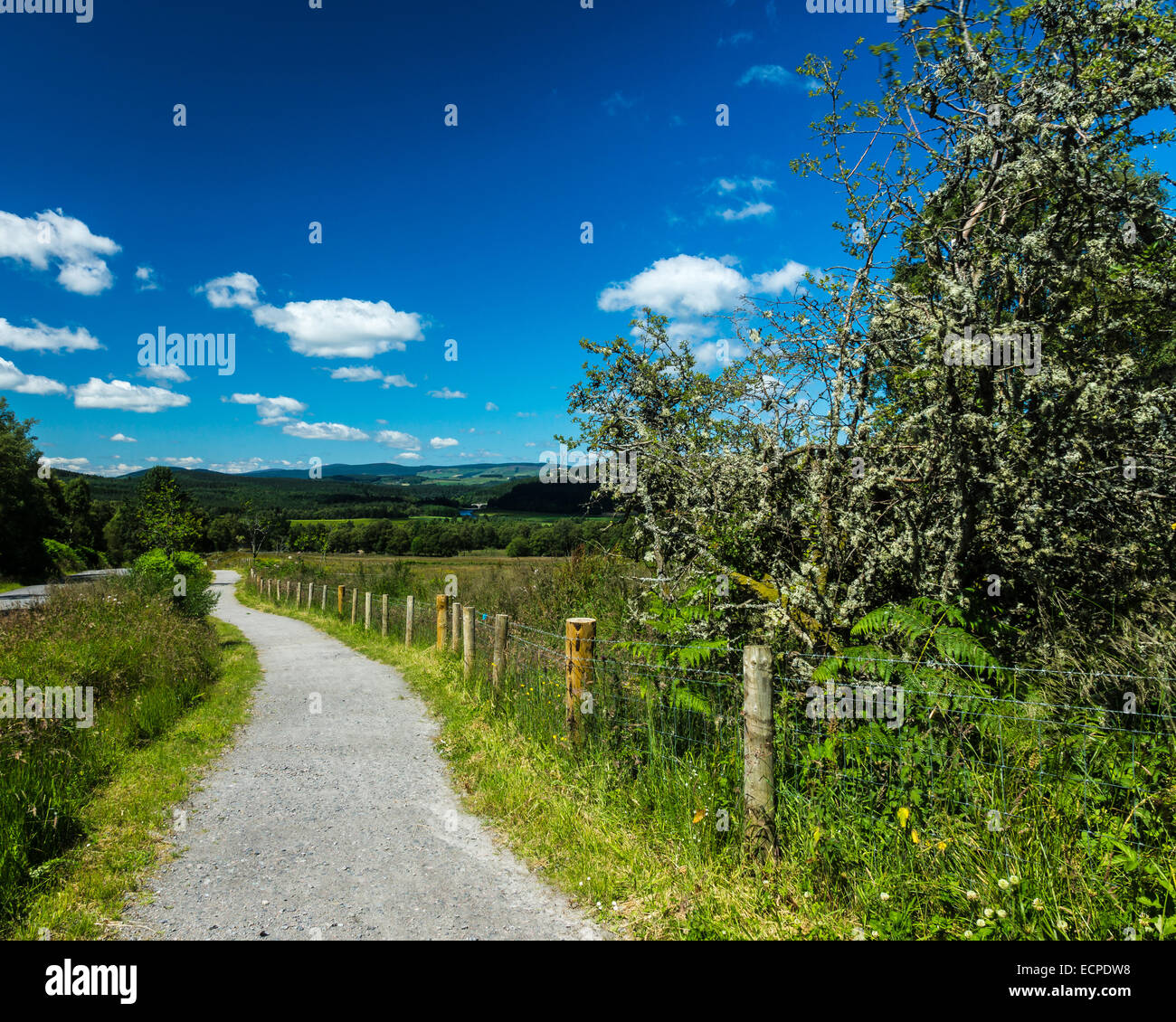 Shooting greens hi-res stock photography and images - Alamy