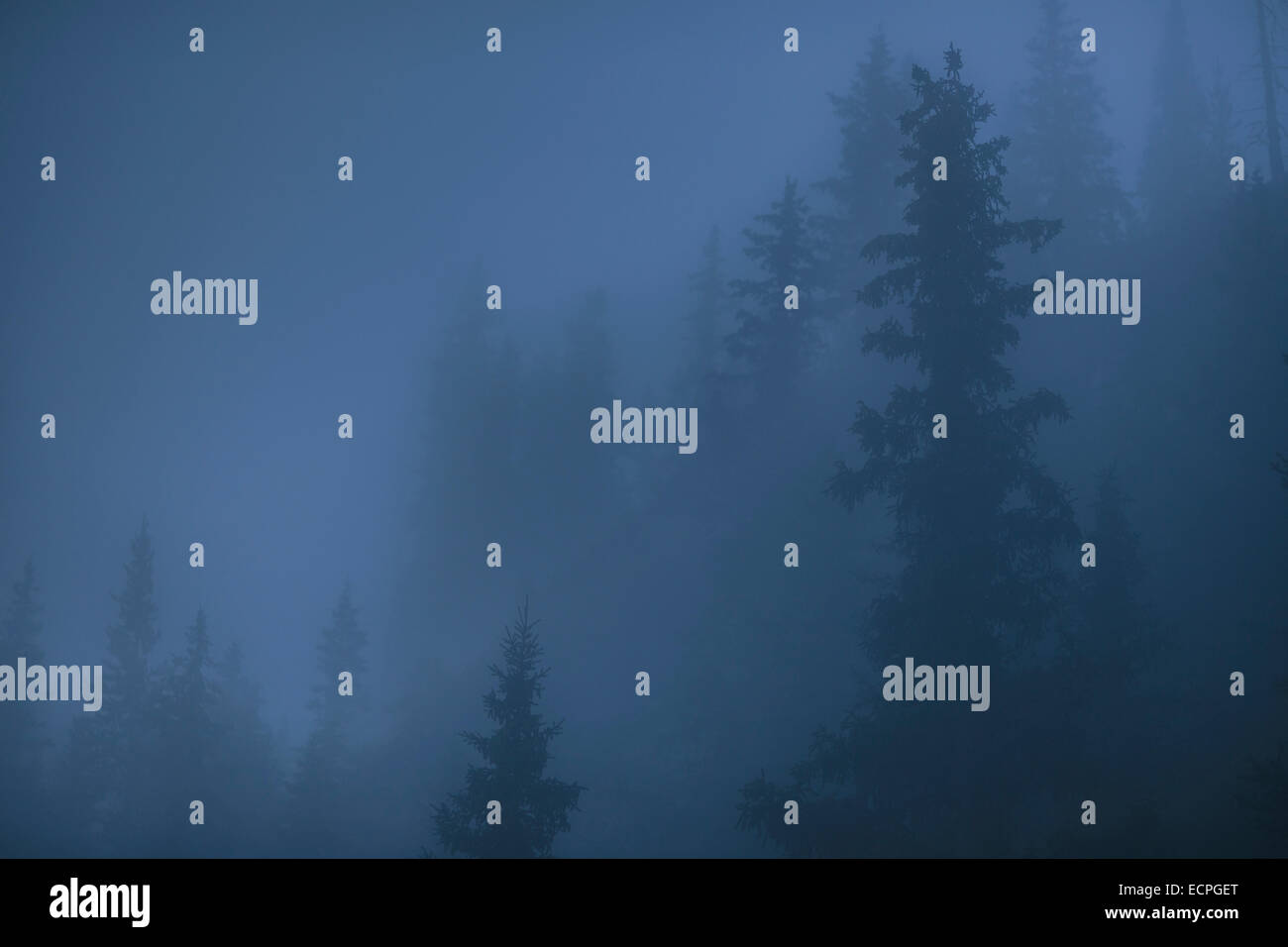 Stars through mist hi-res stock photography and images - Alamy