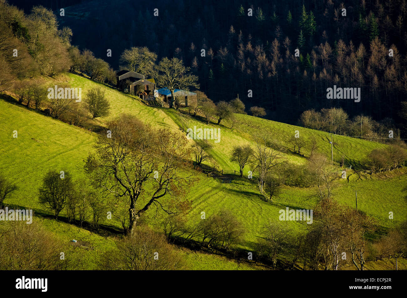 Farms and fields on the Horseshoe pass near Llangollen, Wales Stock ...