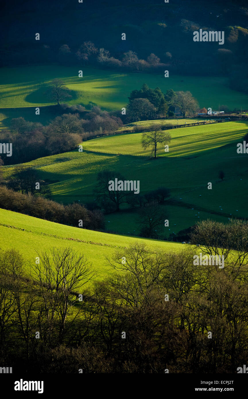 Farms and fields on the Horseshoe pass near Llangollen, Wales Stock ...