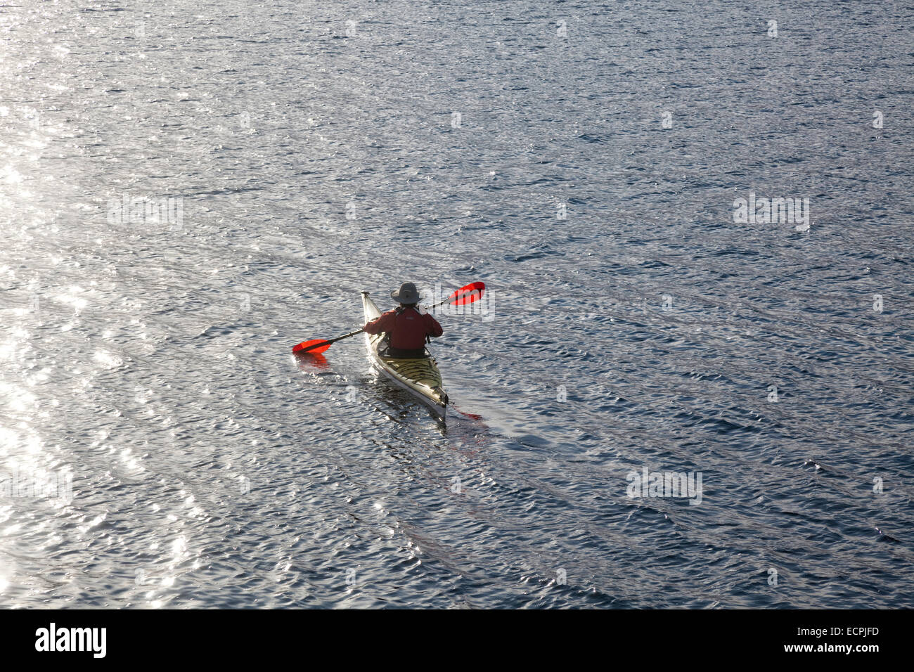 Man paddling kayak in early morning Stock Photo - Alamy