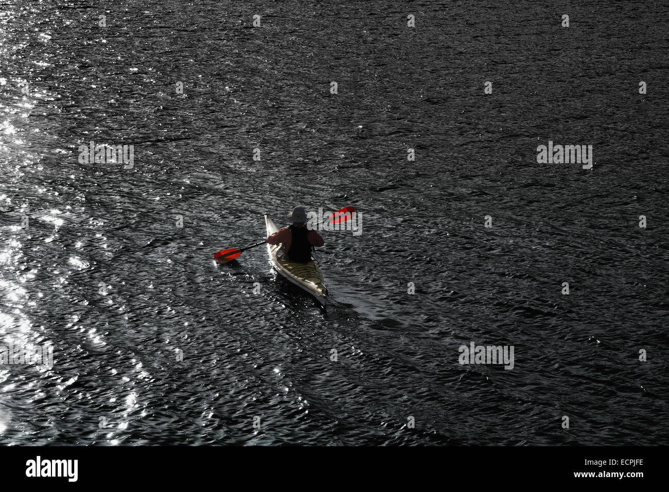 Man paddling kayak in early morning Stock Photo - Alamy