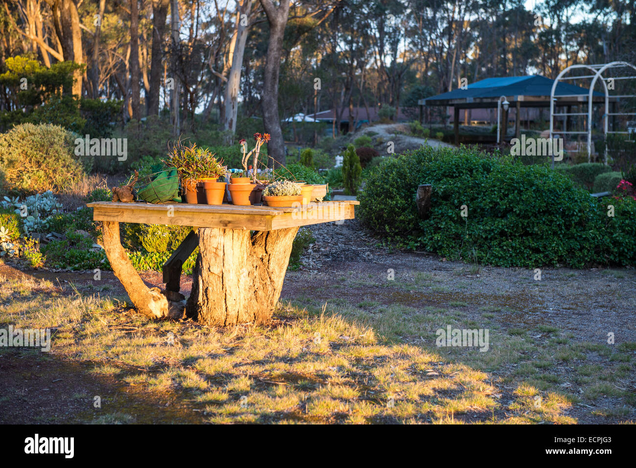 Rustic garden table with pots Stock Photo - Alamy