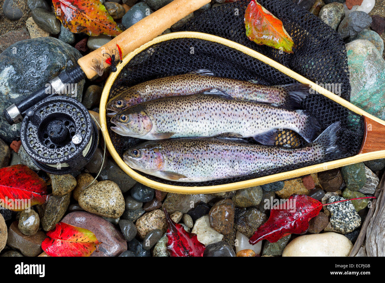 Fishing net top view hi-res stock photography and images - Alamy
