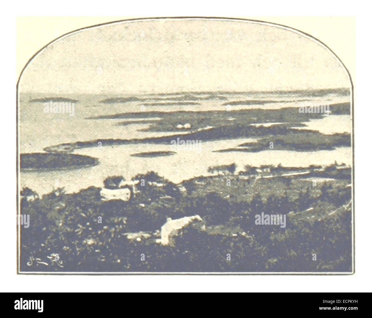 This line represents an unidentified or blank entry labeled '021 ...