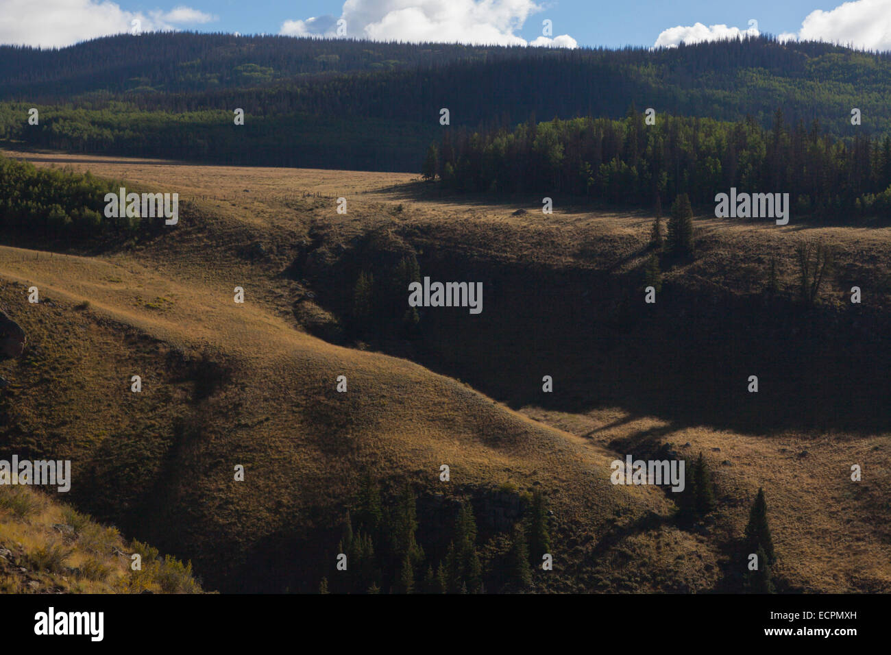 View from NORTH CLEAR CREEK GORGE and the San Juan Mountains - SOUTHERN ...