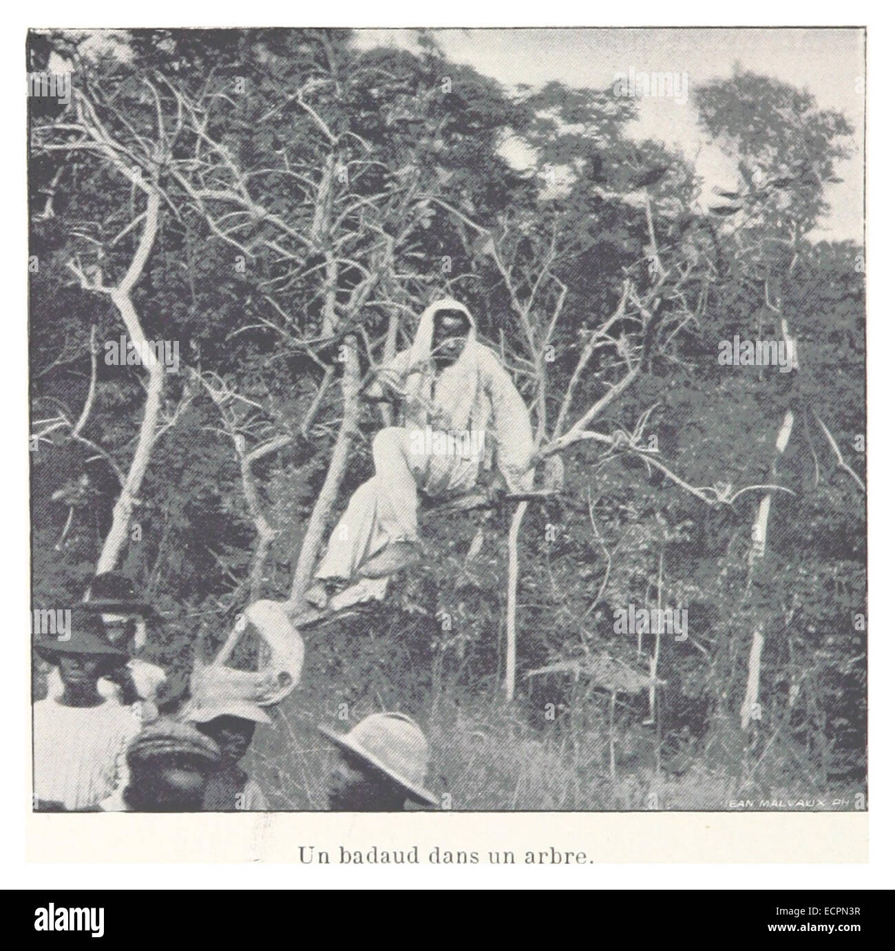 The image titled 'Un badaud dans un arbre' (A Bystander in a Tree ...
