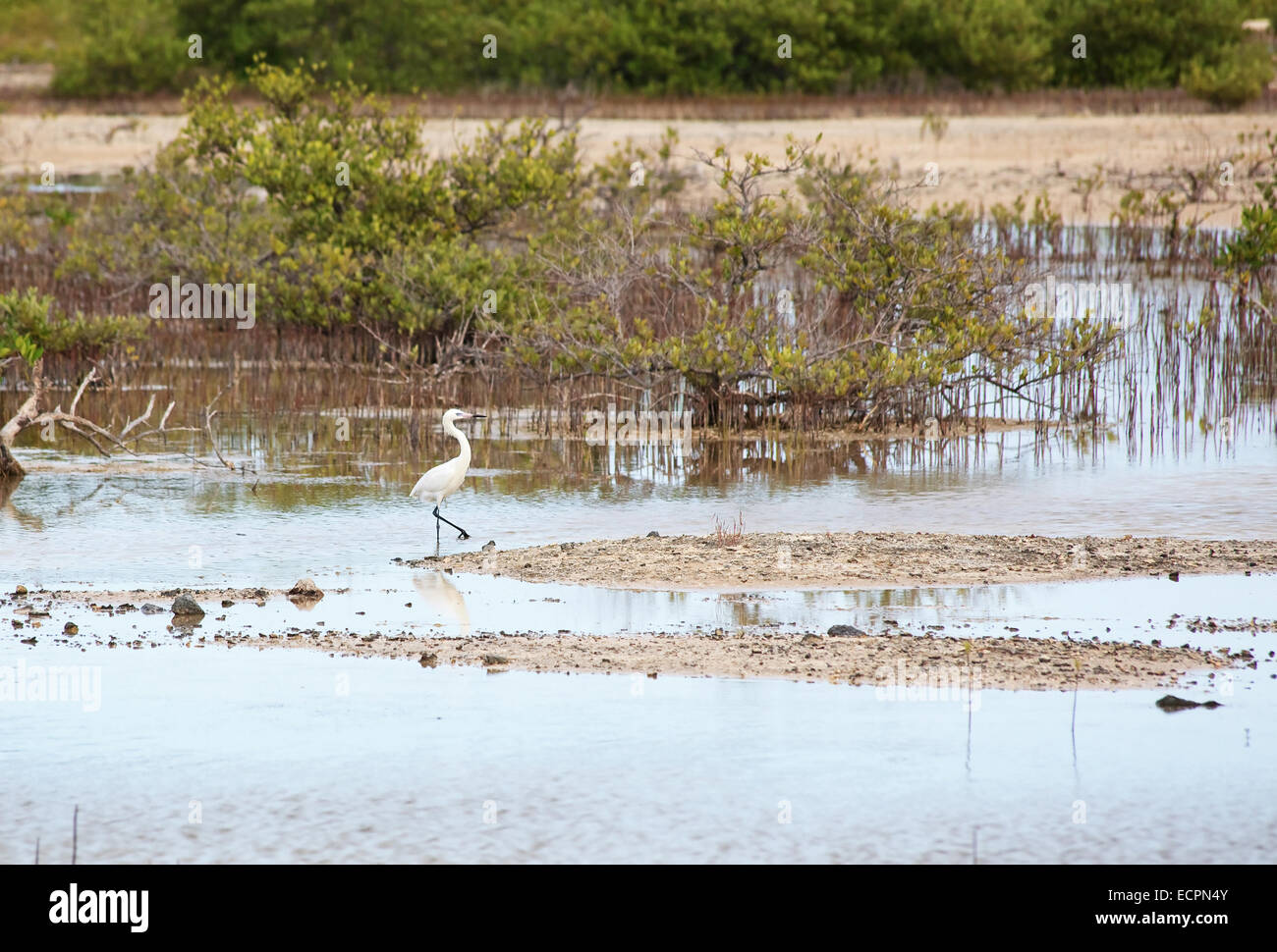 Median island hi-res stock photography and images - Alamy