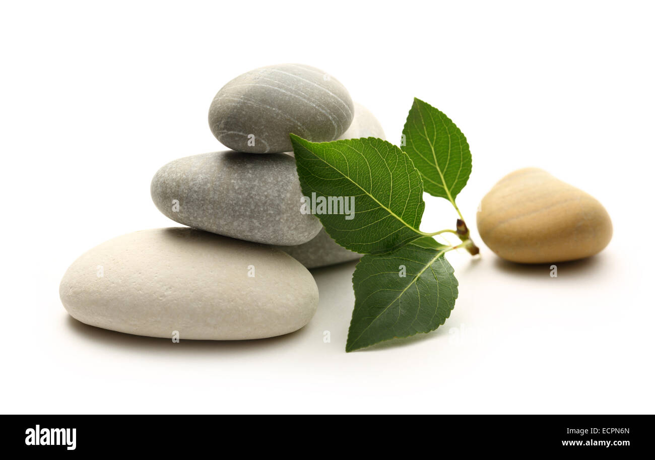 Leaves and stones Cut Out Stock Images & Pictures - Alamy