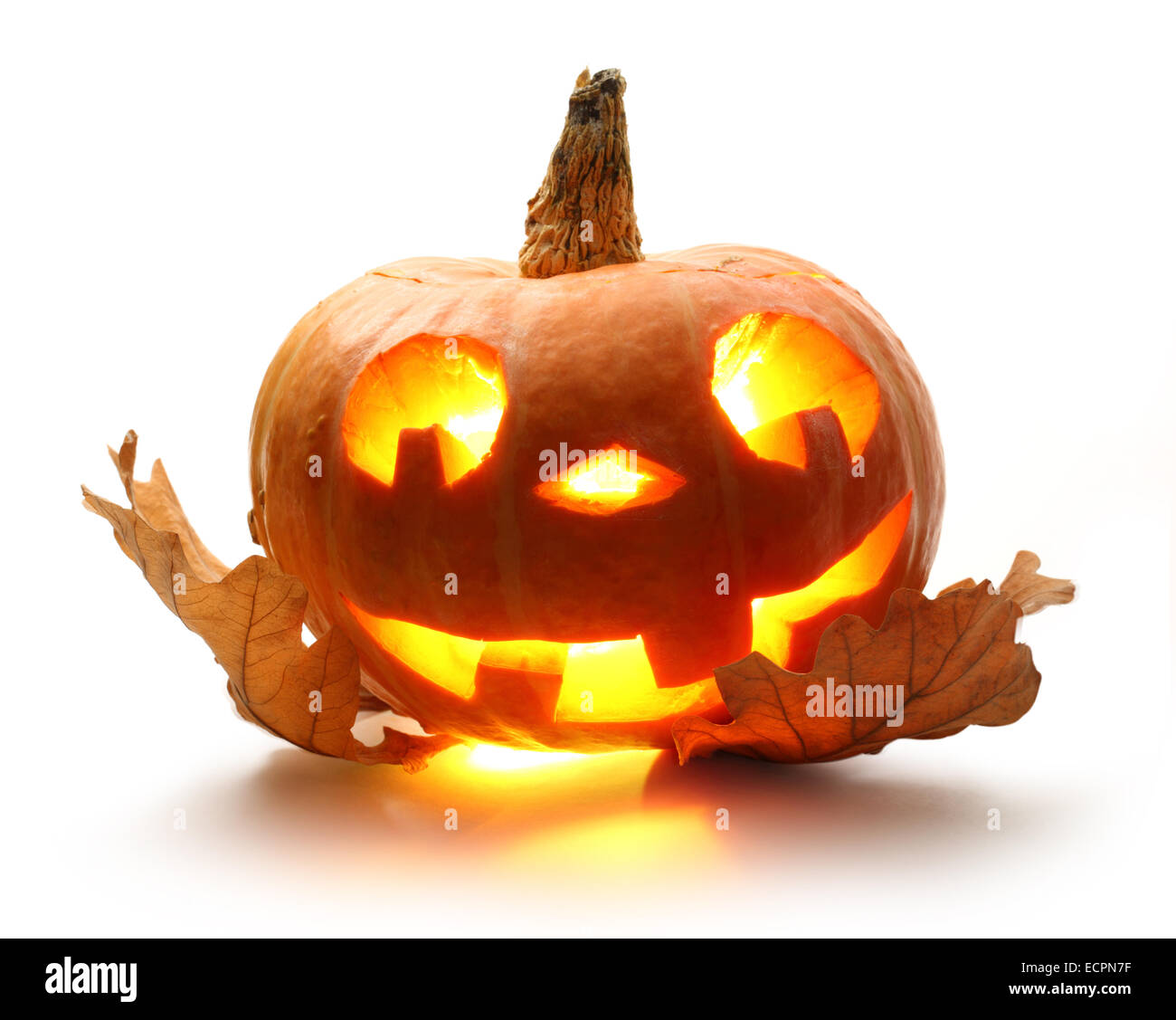 Funny halloween pumpkin with oak leaves in closeup Stock Photo - Alamy