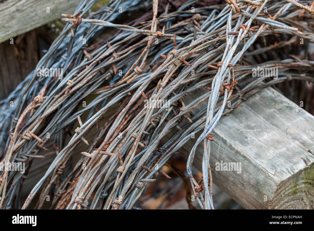 Steel Barbed wire on post Stock Photo - Alamy
