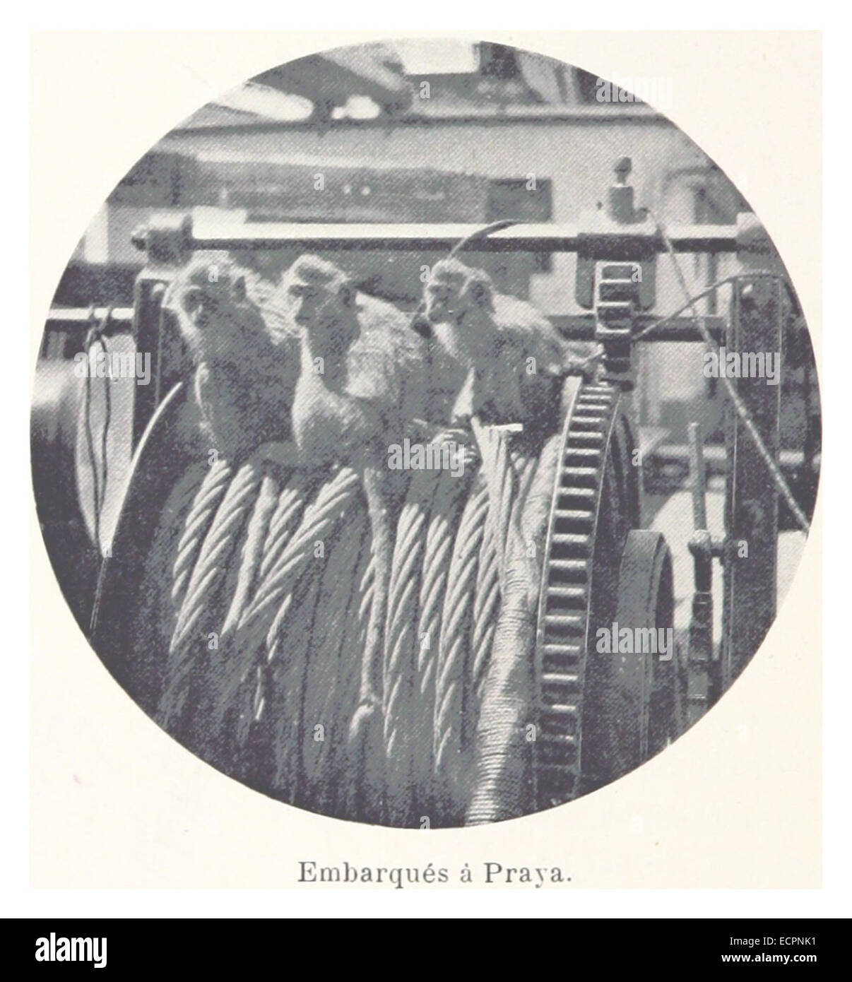 Naval embarkation Cut Out Stock Images & Pictures - Alamy