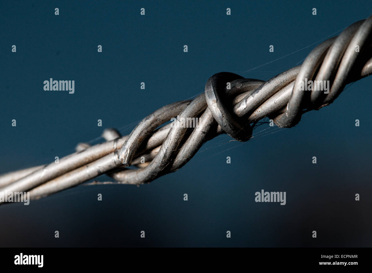 Twisted barbed wire hi-res stock photography and images - Alamy