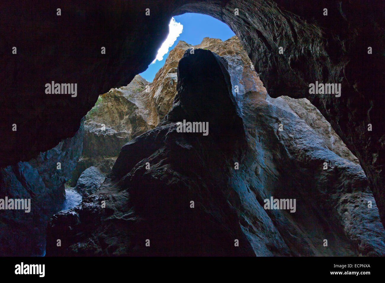 Rio grande national forest hi-res stock photography and images - Alamy