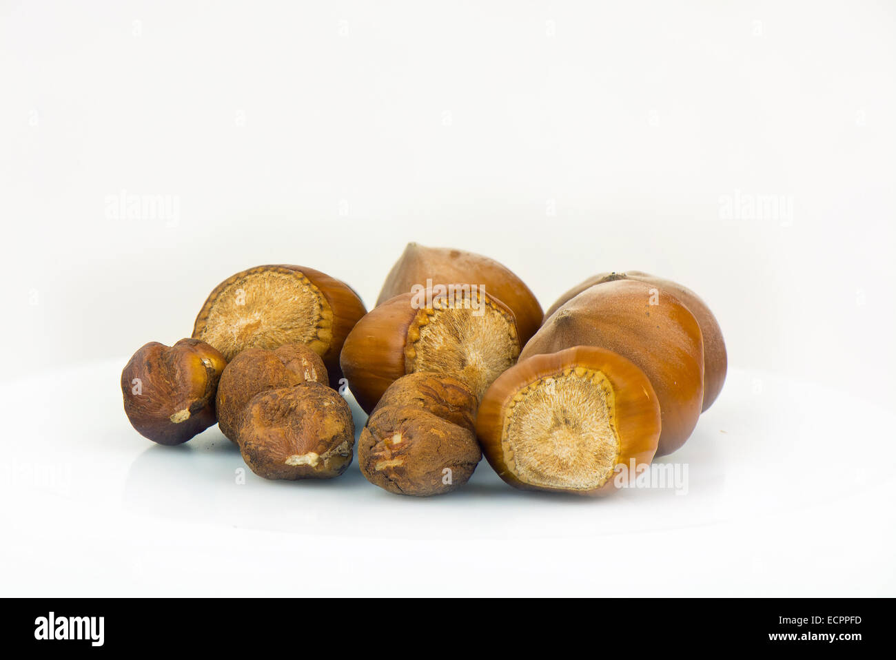 Nuthell hi-res stock photography and images - Alamy