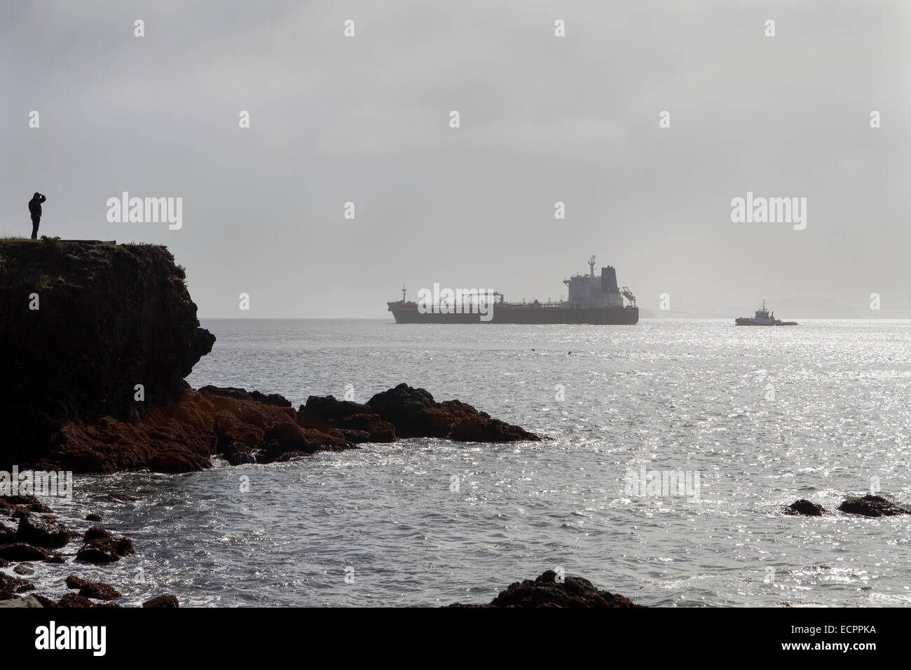 Man watching cargo ship going by, San Francisco, California, USA Stock ...