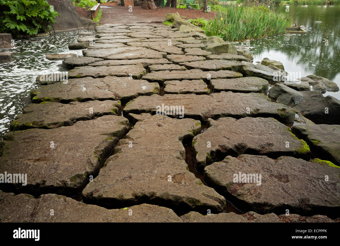 Stepping stone bridge hi-res stock photography and images - Alamy