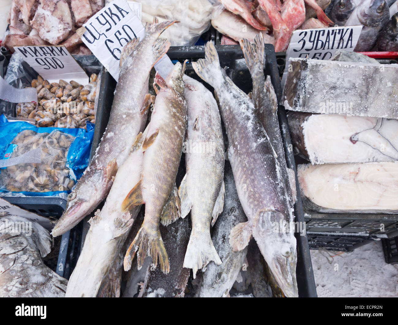 raw fish on a local market Stock Photo - Alamy