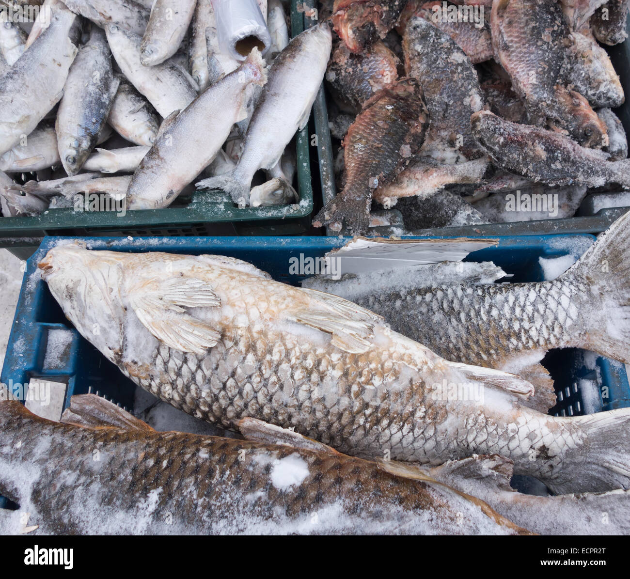 raw fish on a local market Stock Photo - Alamy