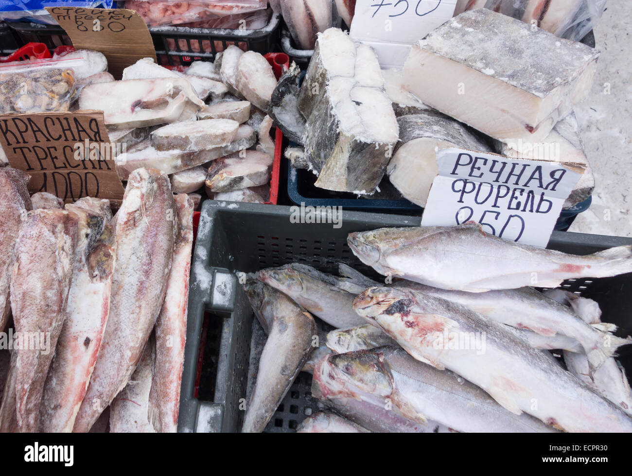 raw fish on a local market Stock Photo - Alamy