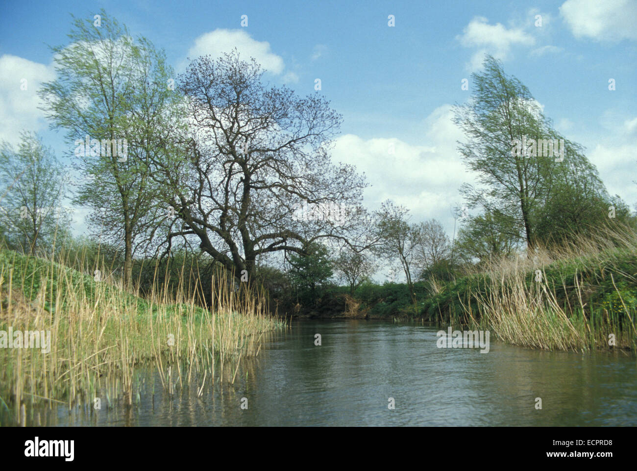 Wormingford hi-res stock photography and images - Alamy