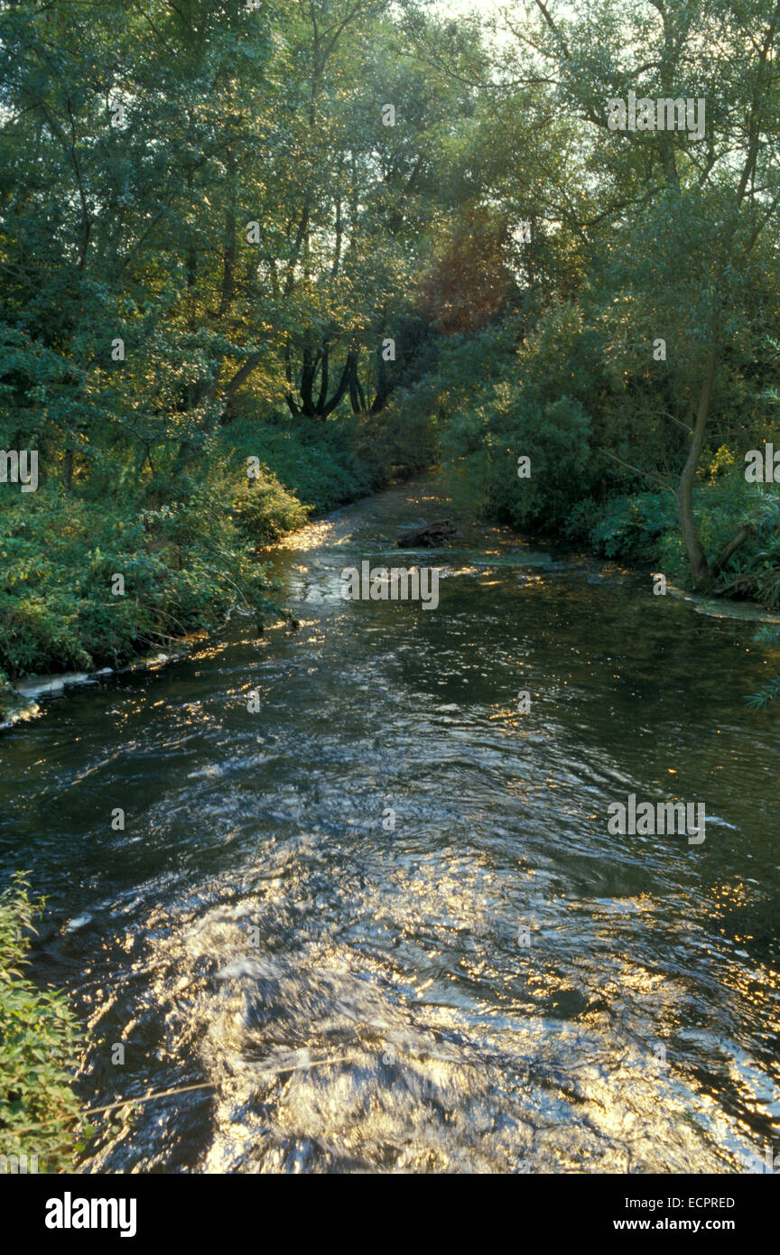 Upavon river avon hi-res stock photography and images - Alamy
